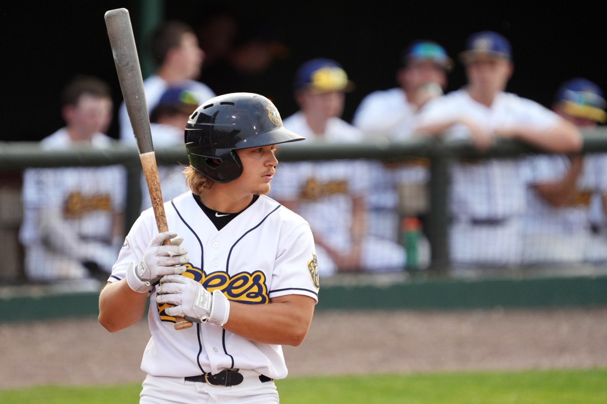 THE MONDAY HIVE: Consistency In Bees’ Lineup Helps Sarsfield – Baseball ...