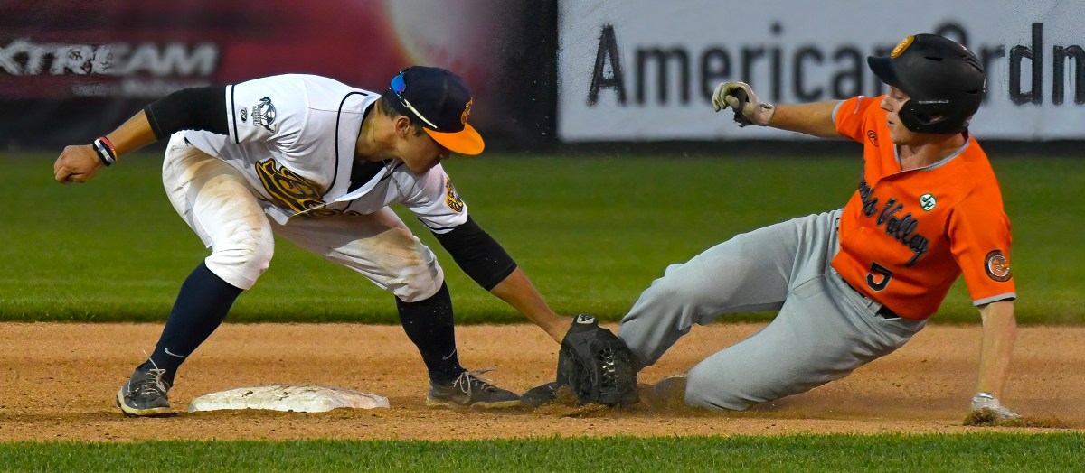 BEES 8, PISTOL SHRIMP 7: Playing The Hunches – Baseball at The Hive