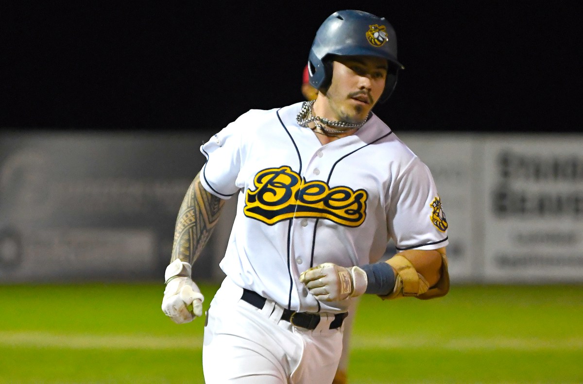 THRILLBILLIES 17-8, BEES 6-5: Sweep Proves Costly To Playoff Hopes ...