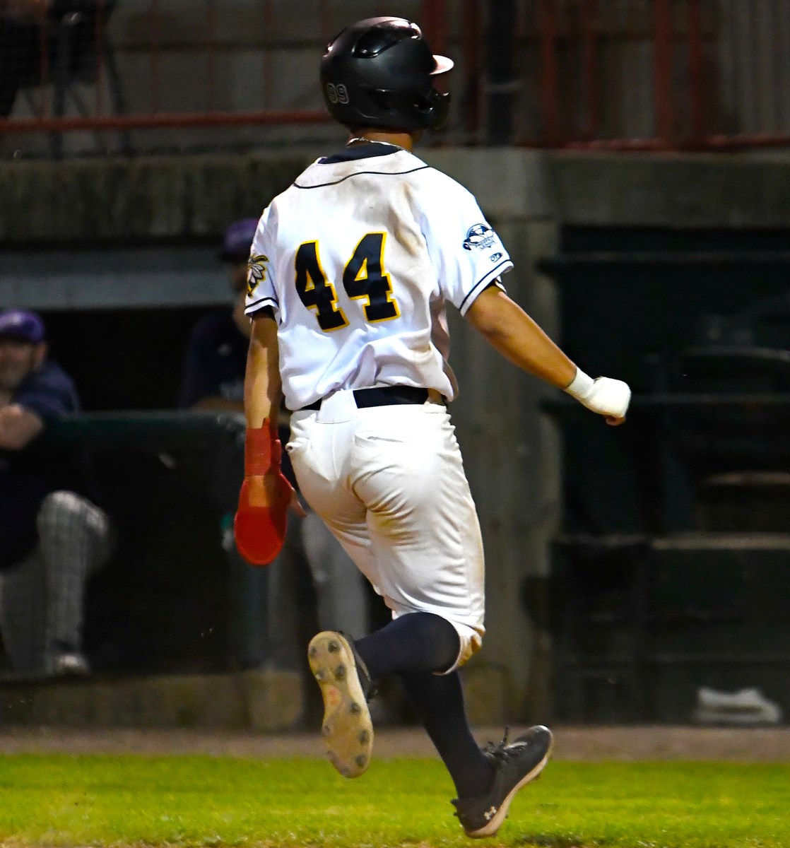 BEES 15, ROCKABILLYS 14: A Wild Night Ends On A Wild Pitch – Baseball ...